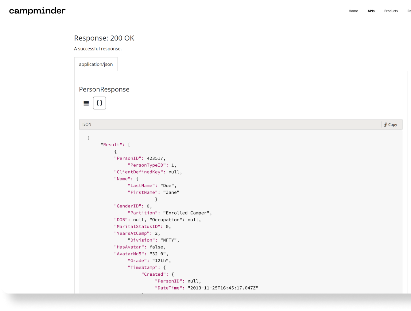 Campminder for Owners & Directors: Empowering Camp Success